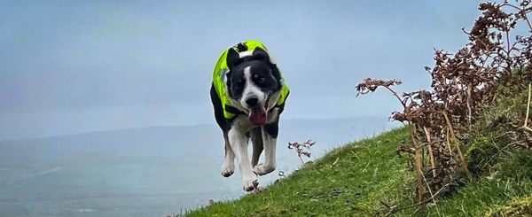 PDMRO | Peak District Mountain Rescue Organization | Peak District ...